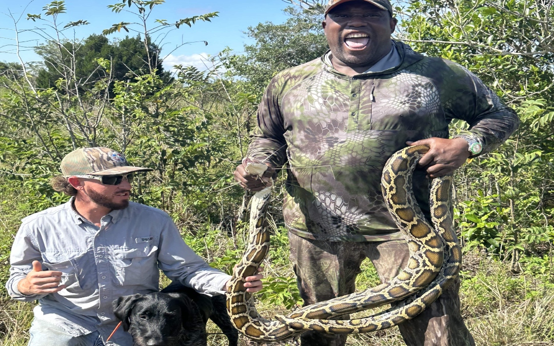 Schools – Everglade Python Hunting