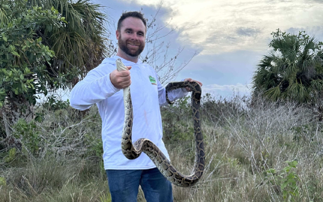 Schools – Everglade Python Hunting