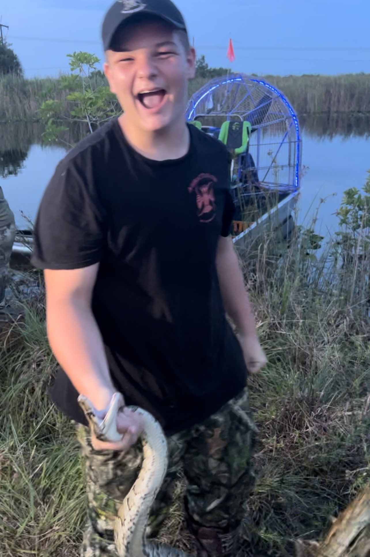 Pythons in the Everglades