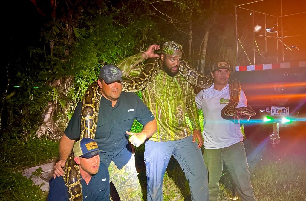 Schools – Everglade Python Hunting