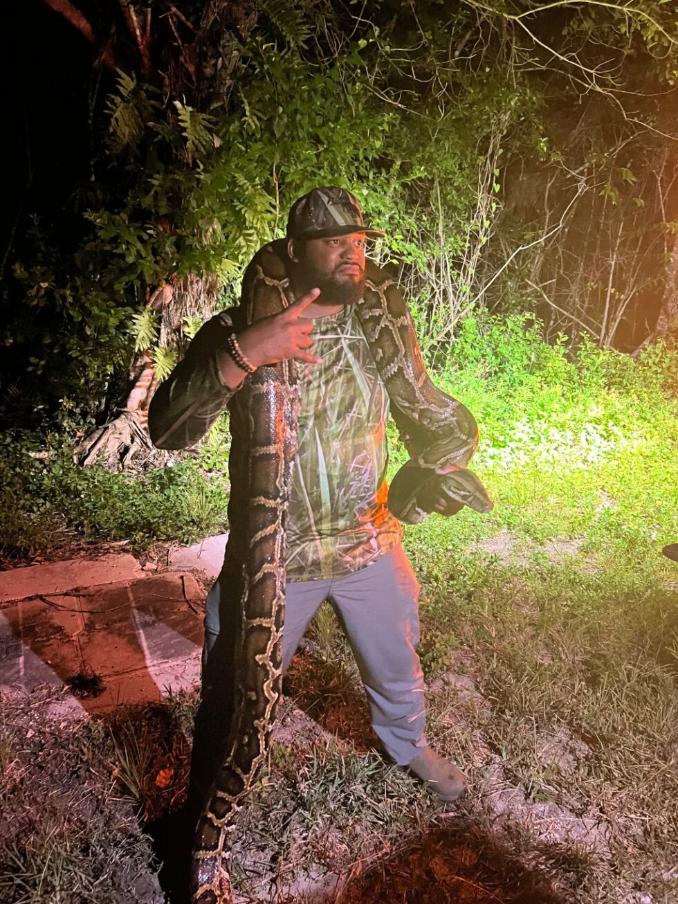 Embark On An Exciting Python Hunting Adventure