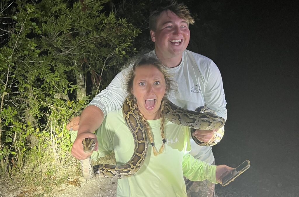 Schools – Everglade Python Hunting