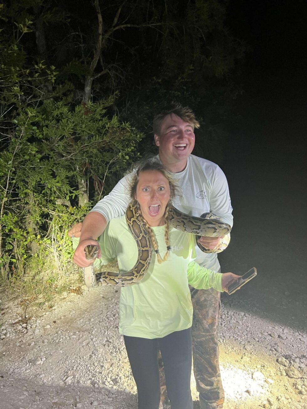 Embark on an Exciting Python Hunting Adventure