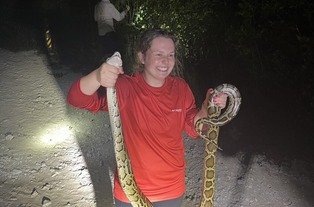 Schools – Everglade Python Hunting