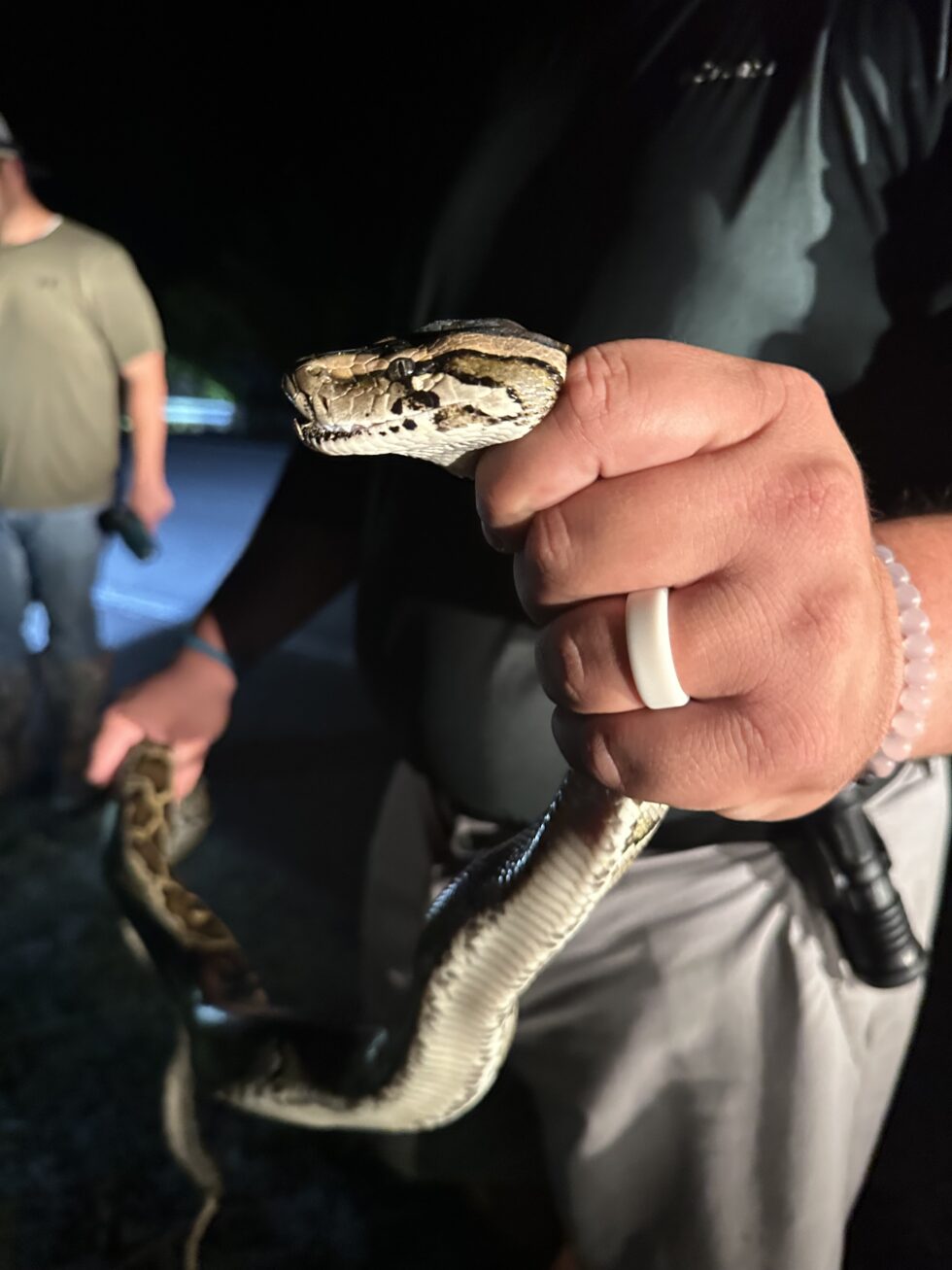 Home [pythonhunting.com]