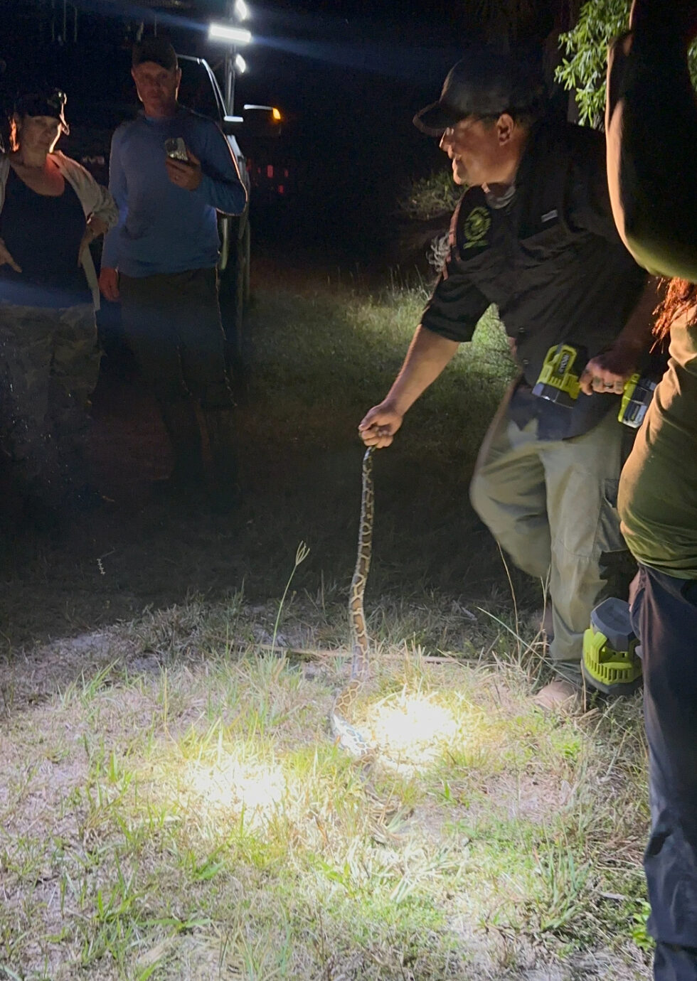 Home [pythonhunting.com]