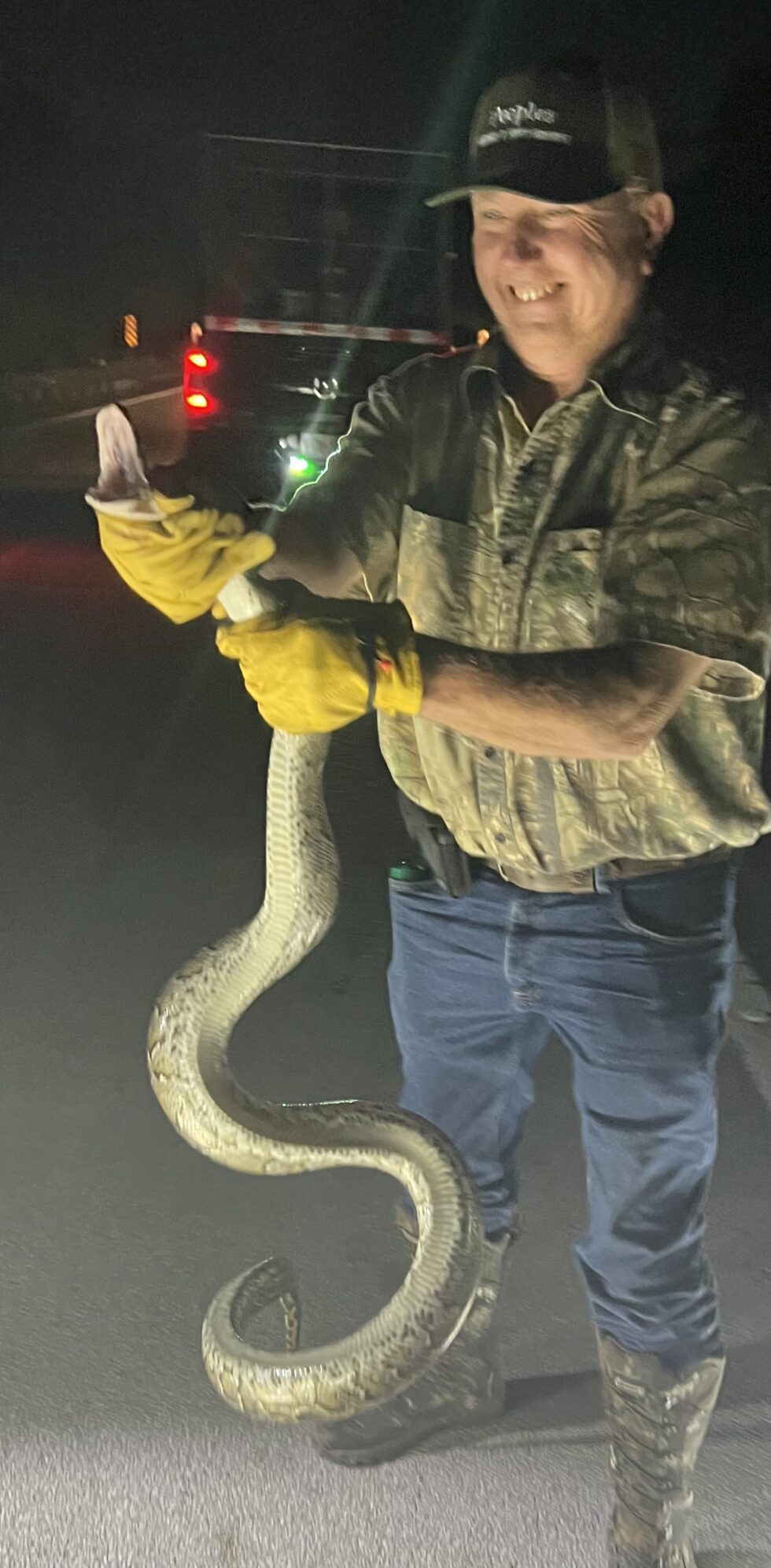 Home [pythonhunting.com]